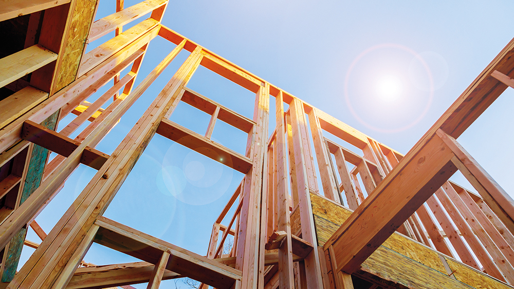 Mitigating fire risks in construction with timber - Construction Management