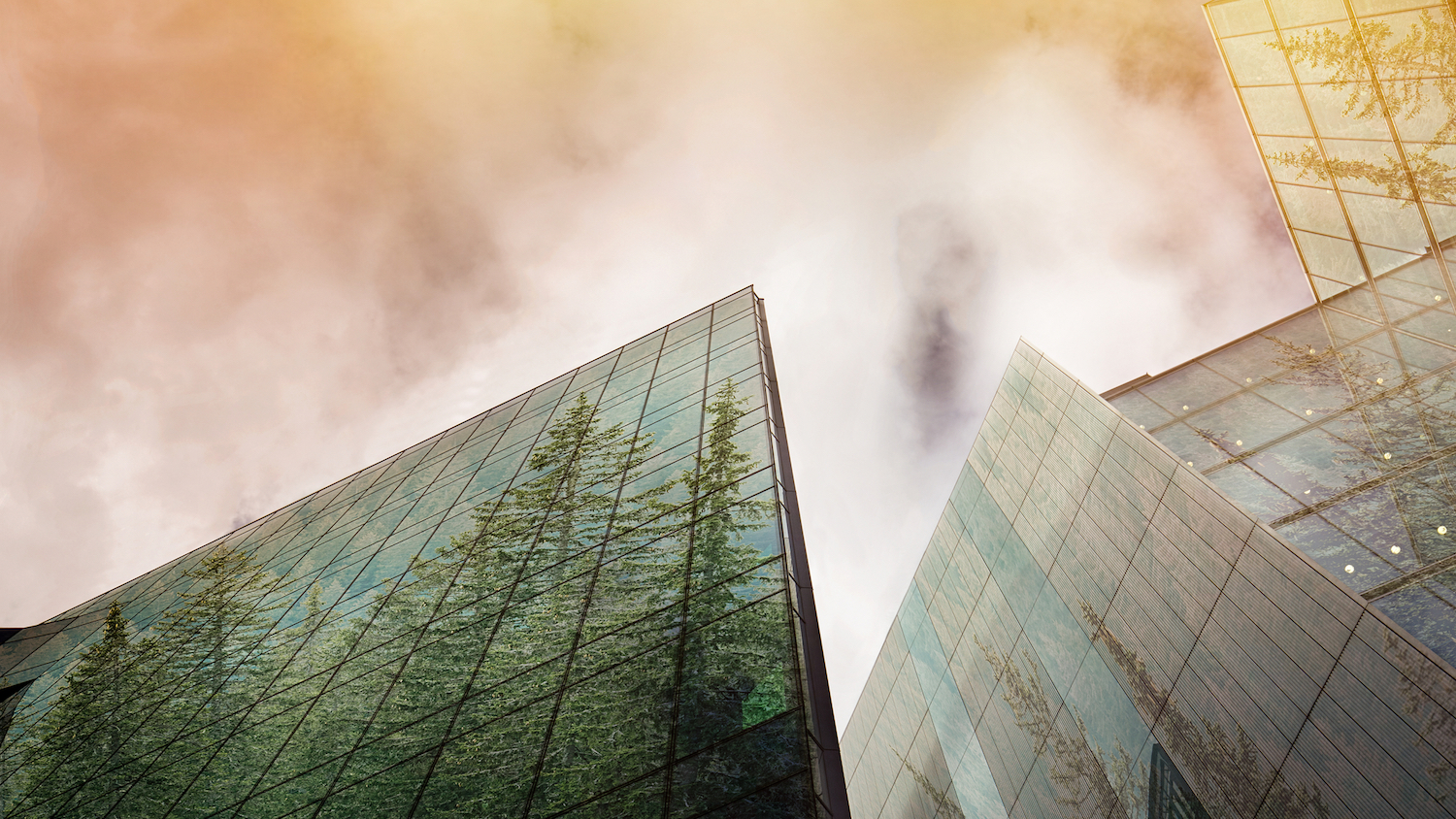 Zero launches net-zero construction playbook