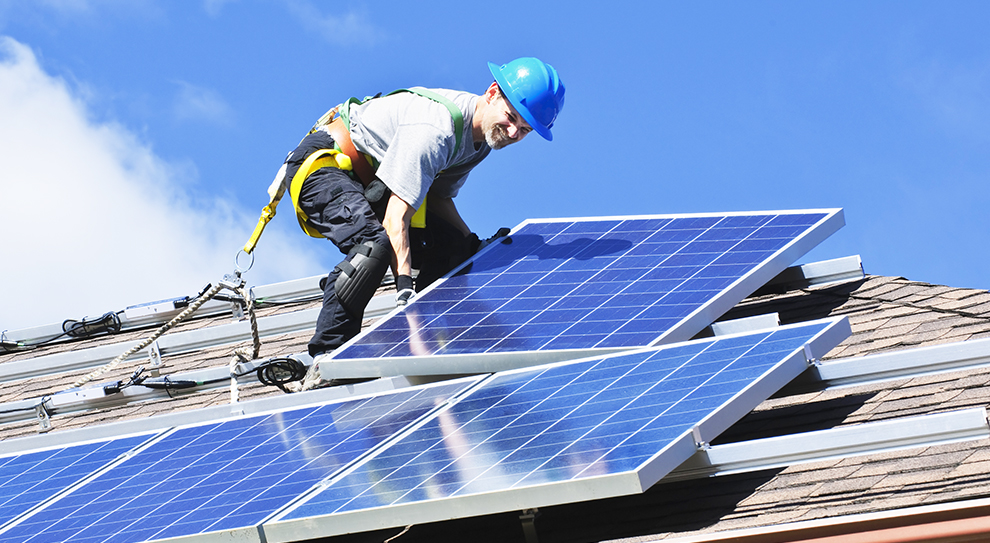 Why addressing the green skills shortage is key to meeting net-zero ...